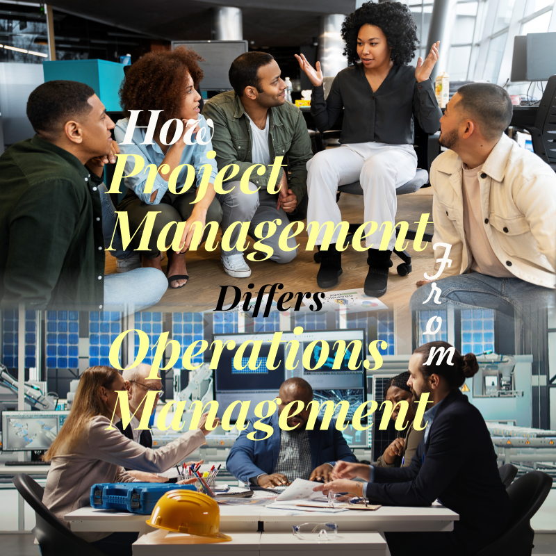 What Is Operations Management (and How It Differs From Project ...